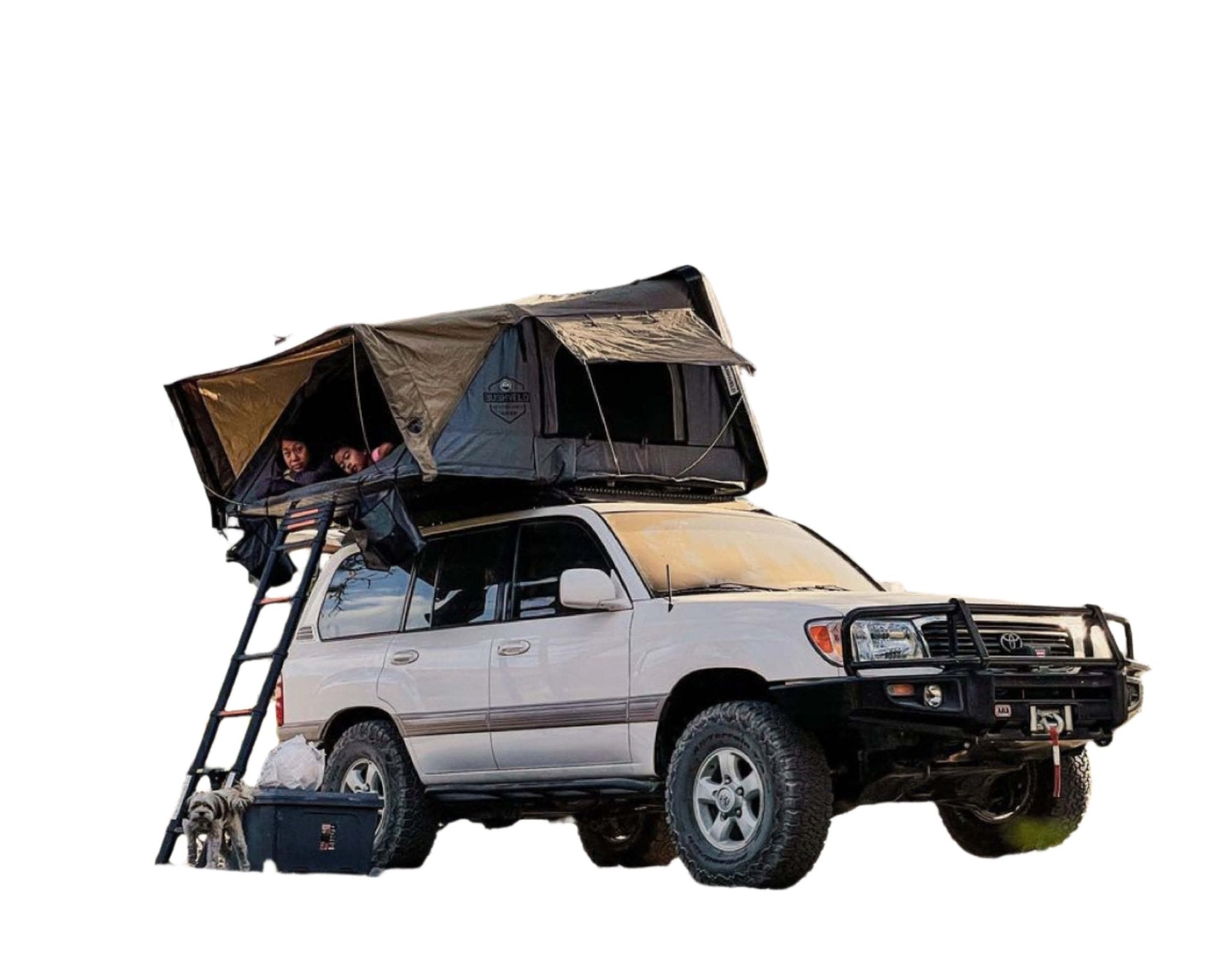 OVS Bushveld II Roof Top Tent | 4-Season Cantilever RTT with King-Size ...